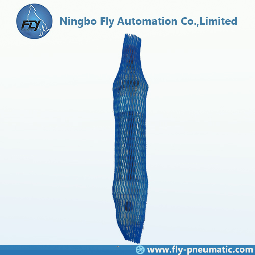 ASCO numatics DSNU NSS 025/00250000 Stainless steel Mini cylinder ...